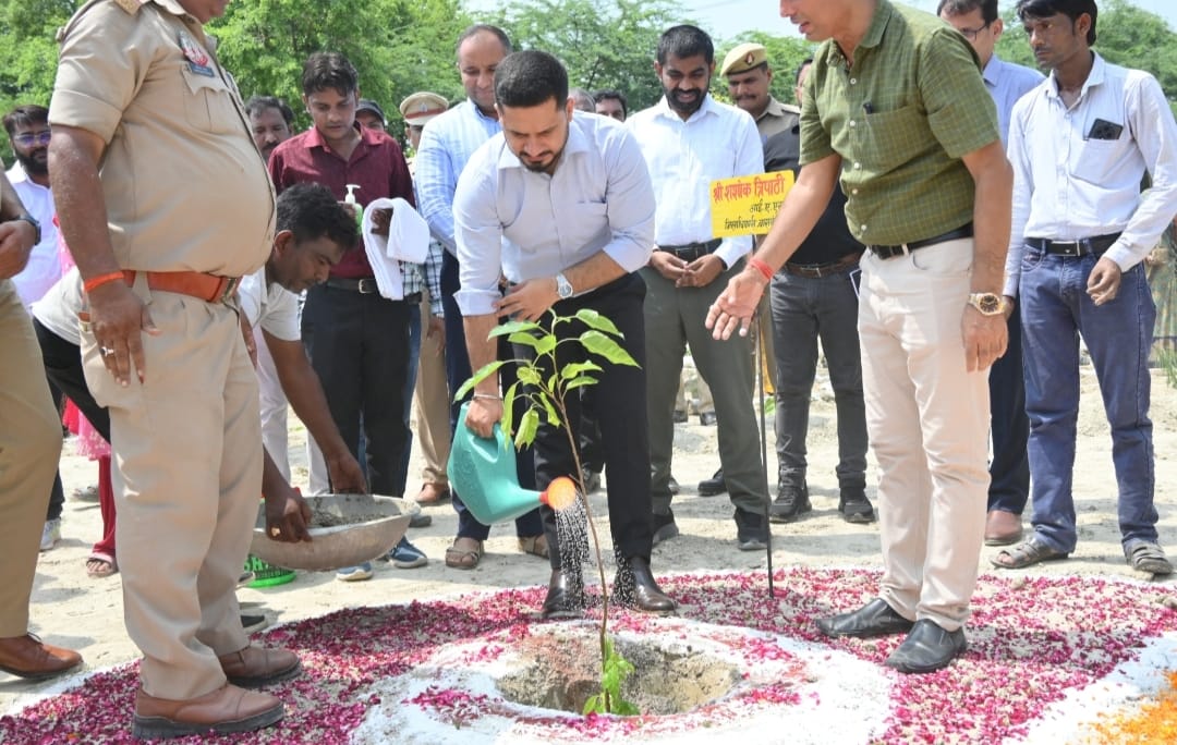 जिला अधिकारी शशांक त्रिपाठी ने हरिशंकरी के पांच पौधों को किया रोपित ...